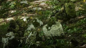 Pencott Greenzone Camo