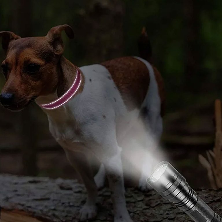 Reflective Tactical Dog Collar