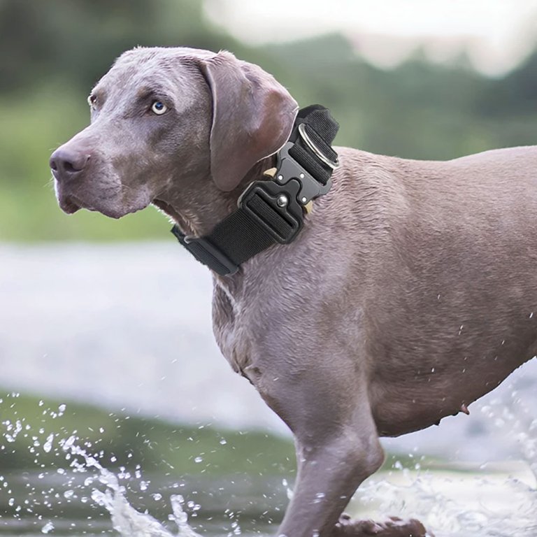 Tactical Quick Release Dog Collar